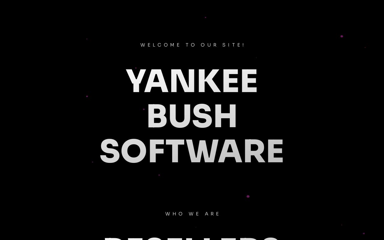 Yankee Bush Software LLC